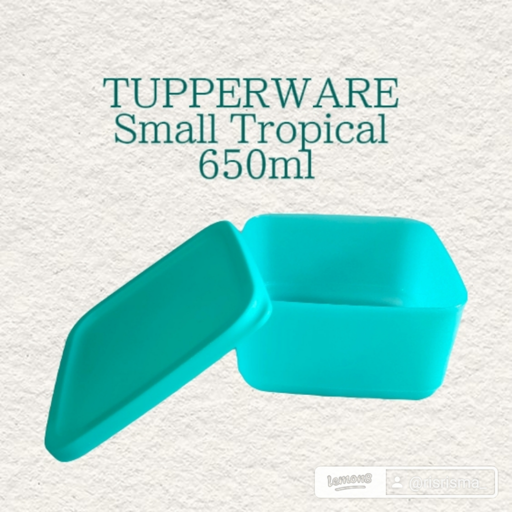 Jual [NEW] Tupperware Small Tropical 650ml | Shopee Indonesia
