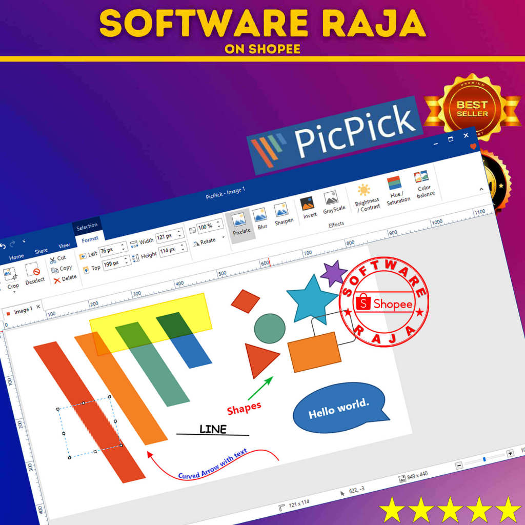 Jual PicPick Pro v6 Final x86 x64 Full Version Lifetime | Shopee Indonesia