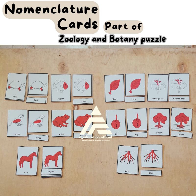 Jual RST Zoology Botany Card Full Set Nomenclature Puzzle 3 part card ...