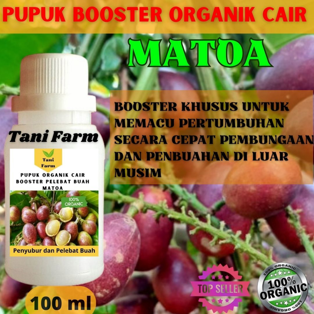Jual Pupuk Booster Buah Matoa Pelebat Buah dan Anti Rontok / Pupuk Booster Matoa / Pupuk Matoa ...