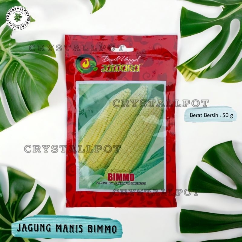 Jual Benih Bibit Jagung Manis Bimmo Benih Unggul Jawara - JAGUNG MANIS ...