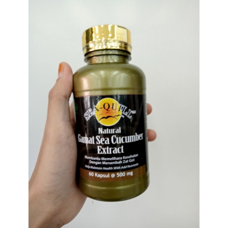 Jual Sea Quill Natural Gamat Sea Cucumber Extract (60 kapsul) | Shopee ...