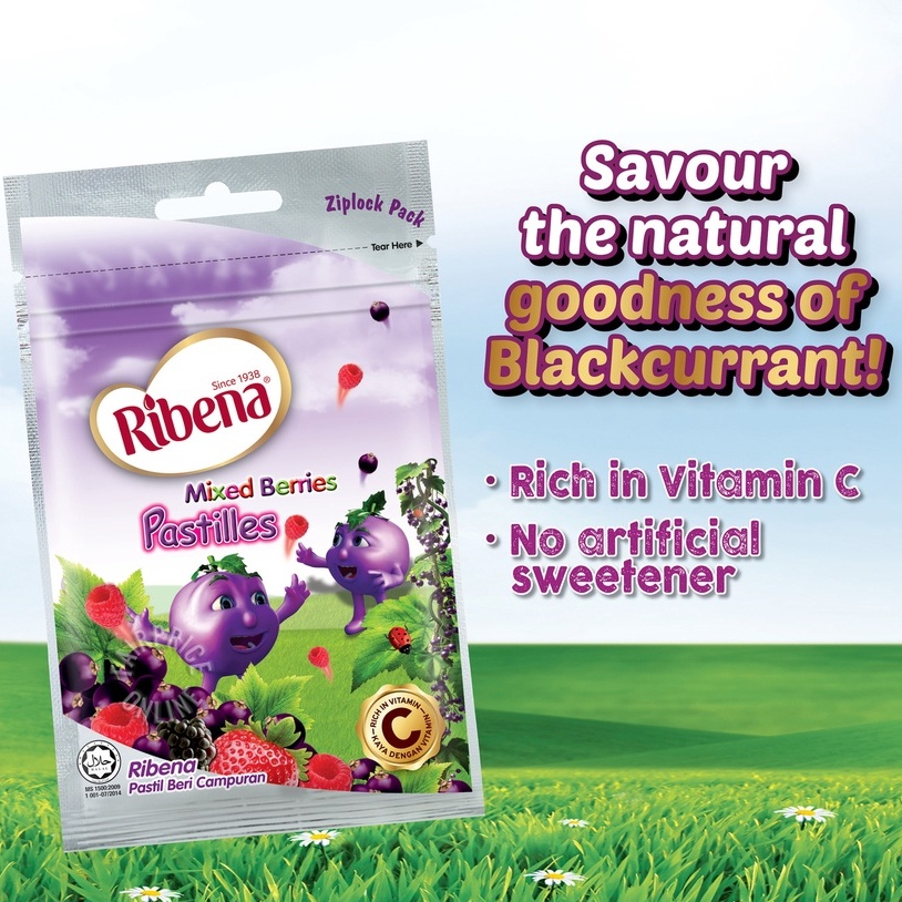 Jual Ribena Blackcurrant Mixed Berries Pastilles Candy Permen Yupi ...