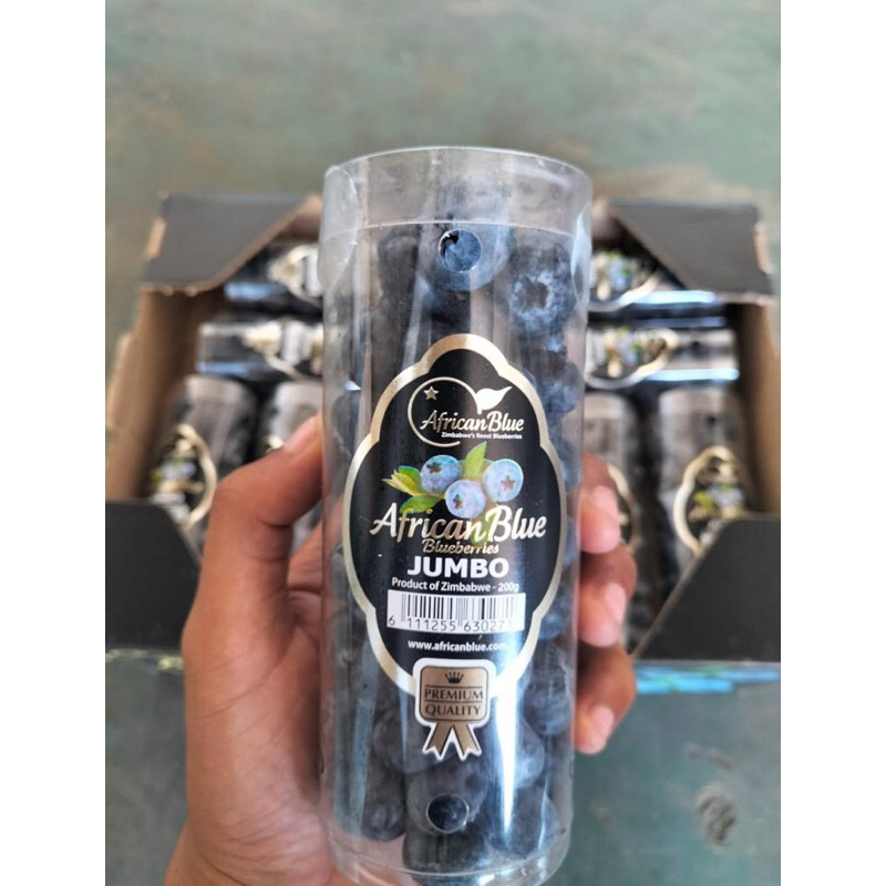 Jual Blueberry African Blue Jumbo Berat 200 gram / tube | Shopee Indonesia