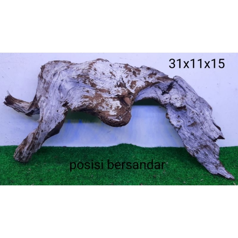 Jual Kayu Santigi Laut - Kayu Tenggelam - Aquascape - Channa - 2 ...