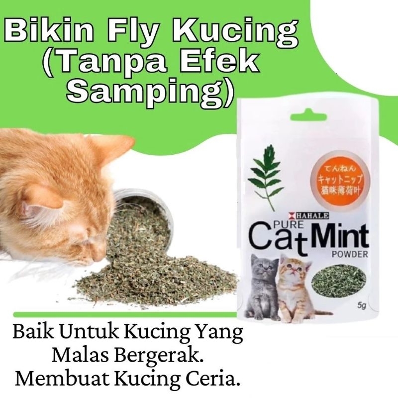 Jual catnip powder catmint bubuk cat mint- ORIGINAL - Bikin Aktif ...