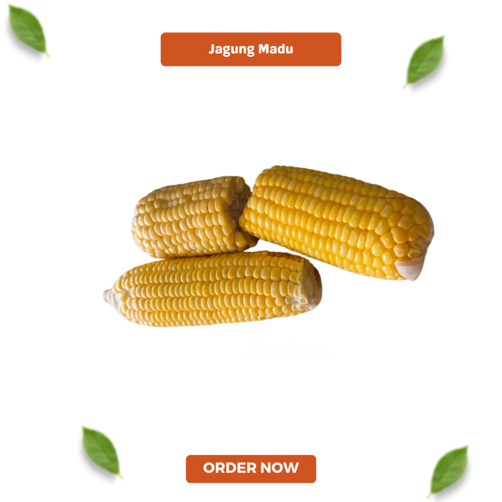 Jual Jagung Madu - Sayuran Segar - Sayuran Fresh | Shopee Indonesia