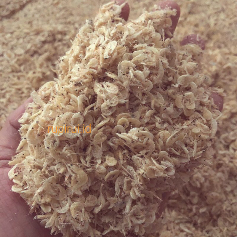 Jual Ikan Asin Rebon Kering Murah 1 Kg Rebon Grosir | Shopee Indonesia