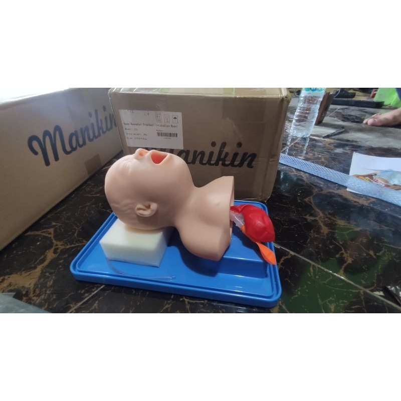 Jual PHANTOM MANIKIN INFANT INTUBASI AIRWAY/ Intubasi Airway bayi ...