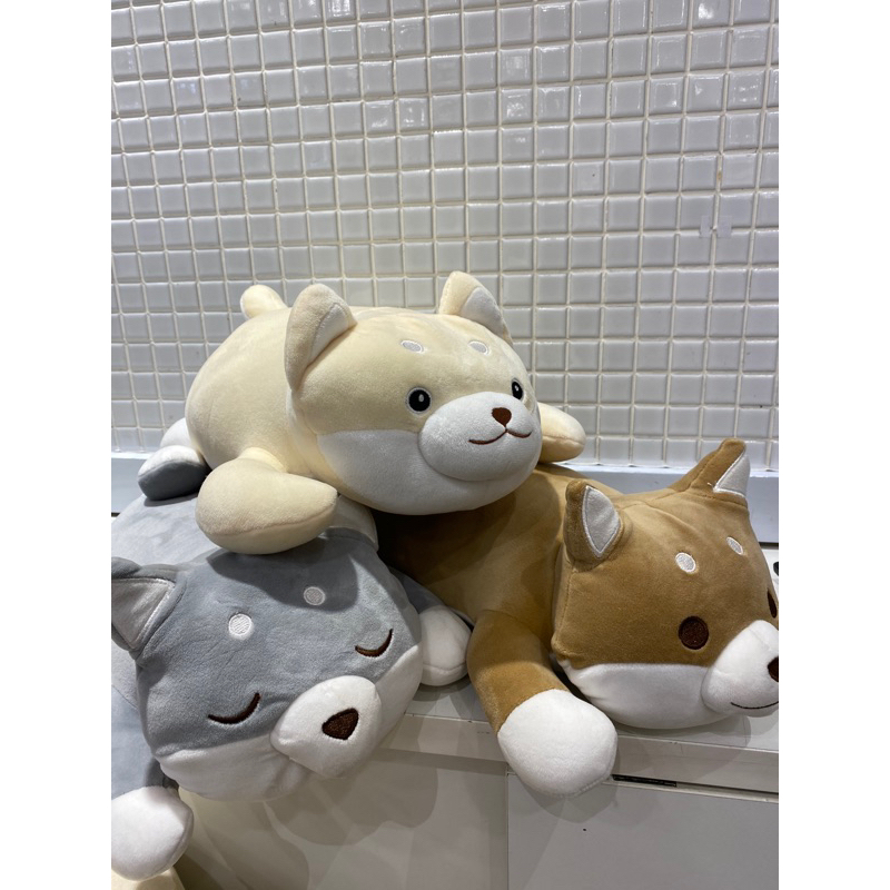 Jual Sale boneka kucing miniso size 35cm | Shopee Indonesia