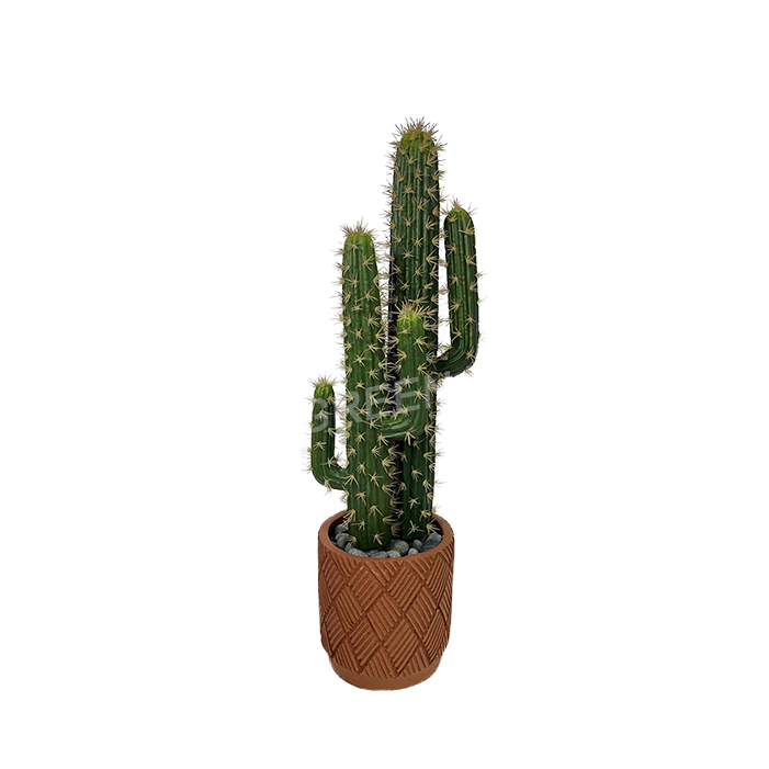 Jual ARIZONE CACTUS 70CM DAUN HIAS/ DAUN PALSU/ POHON HIAS/ POHON ...