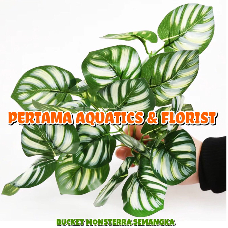 Jual Bucket Monstera Artificial Bunga Artificial Daun Artificial Daun ... Jual Bucket Monstera Artificial Bunga Artificial Daun Artificial Daun ...