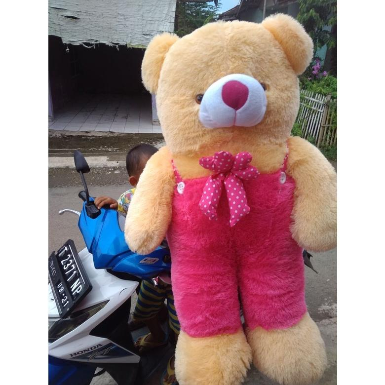 Jual Boneka Teddy Bear Jojon Jumbo 90CM Berlabel SNI | Shopee Indonesia