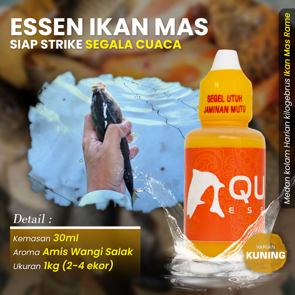 Jual Essen Ikan Mas Aquatic Kuning Umpan Mancing Harian Kilo Gebrus 30ml | Shopee Indonesia