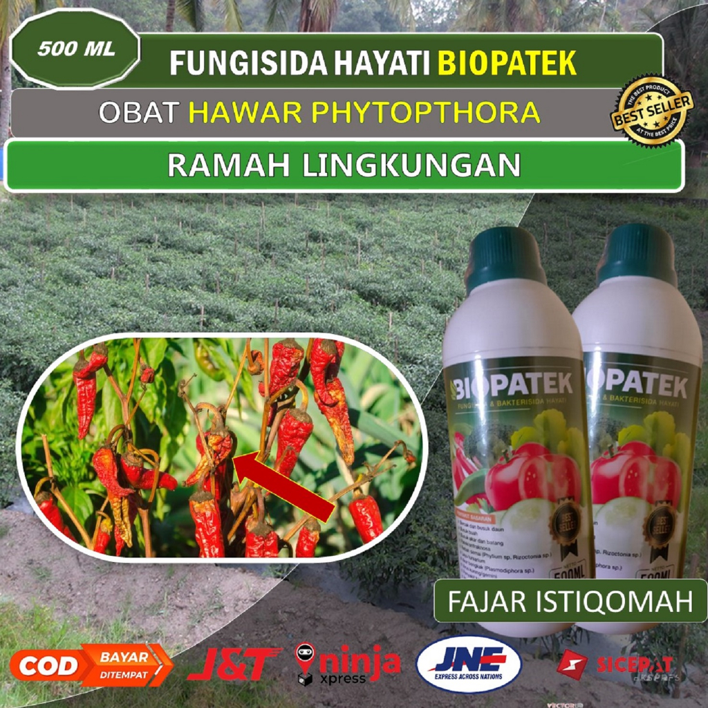 Jual BIOPATEK isi 500 ml fungisida hayati obat penyakit hawar phytopthora pada tanaman cabai ...