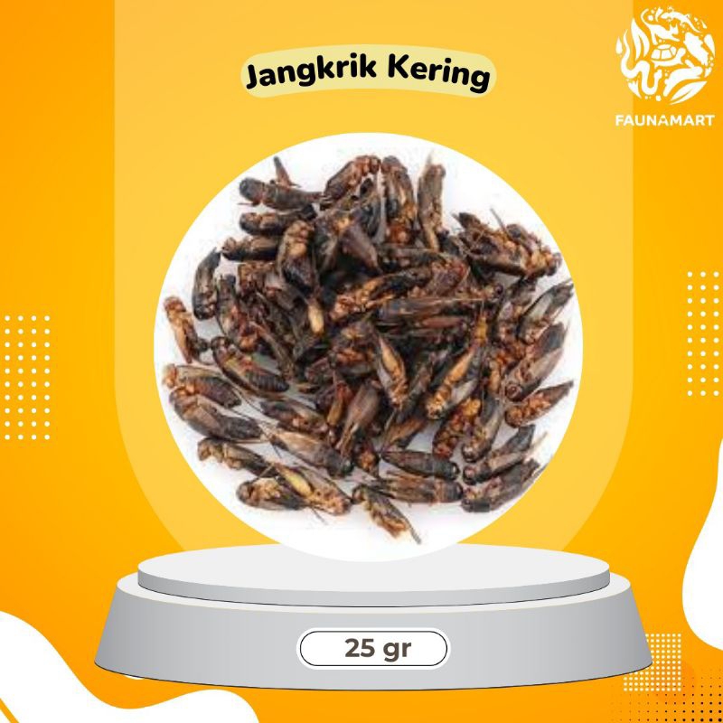 Jual Jangkrik Kering 25 gr - Fauna Mart | Shopee Indonesia