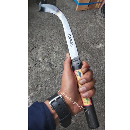 Jual PISAU SADAP PERKEBUNAN KARET ORIGINAL MALAYSIA TYPE 01 | Shopee ...