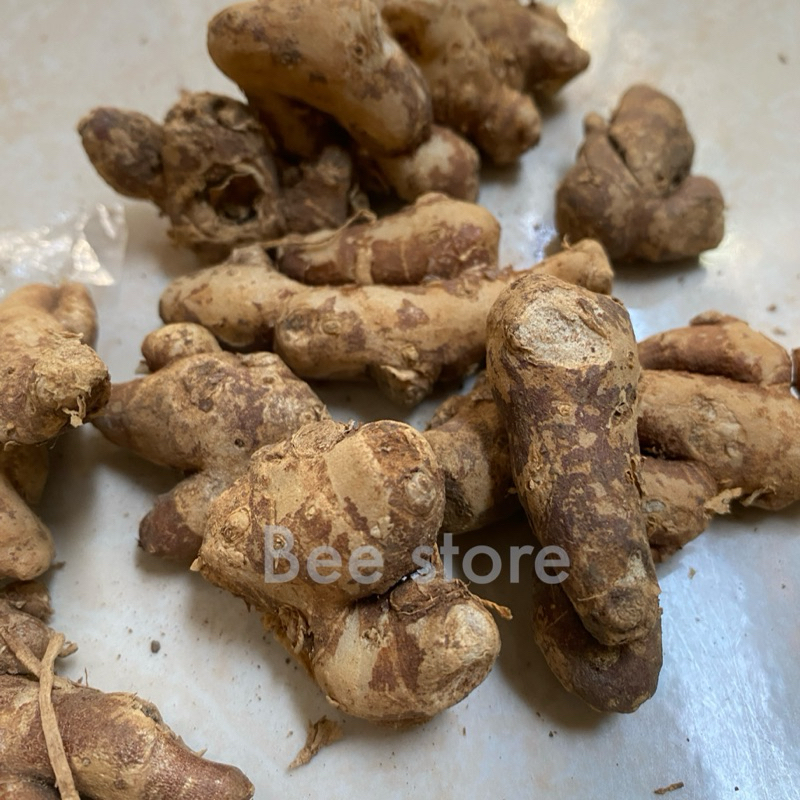Jual hasil bumi segar | kunyit - jahe merah - jahe emprit - kencur ... Jual hasil bumi segar | kunyit - jahe merah - jahe emprit - kencur ...