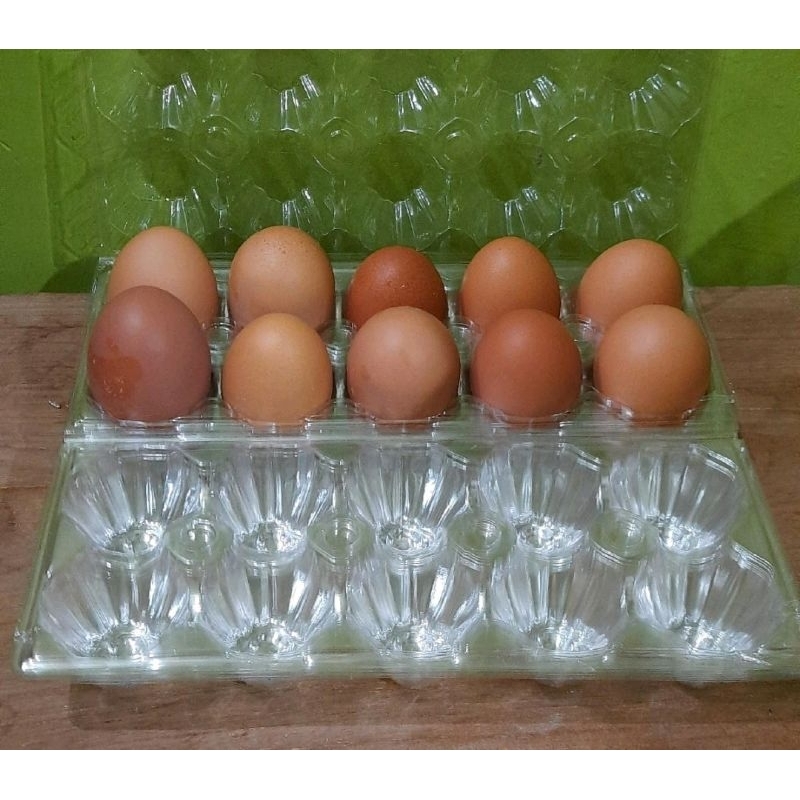Jual Mika telur isi 10 (1 pack isi 25 pc ) | Shopee Indonesia