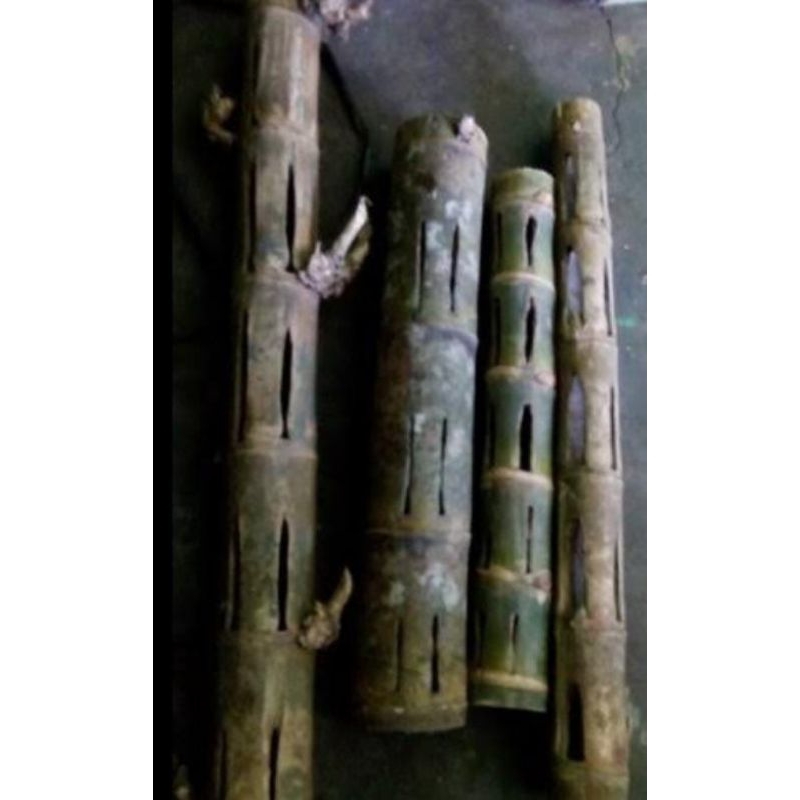 Jual Bambu combong/berlubang alami | Shopee Indonesia