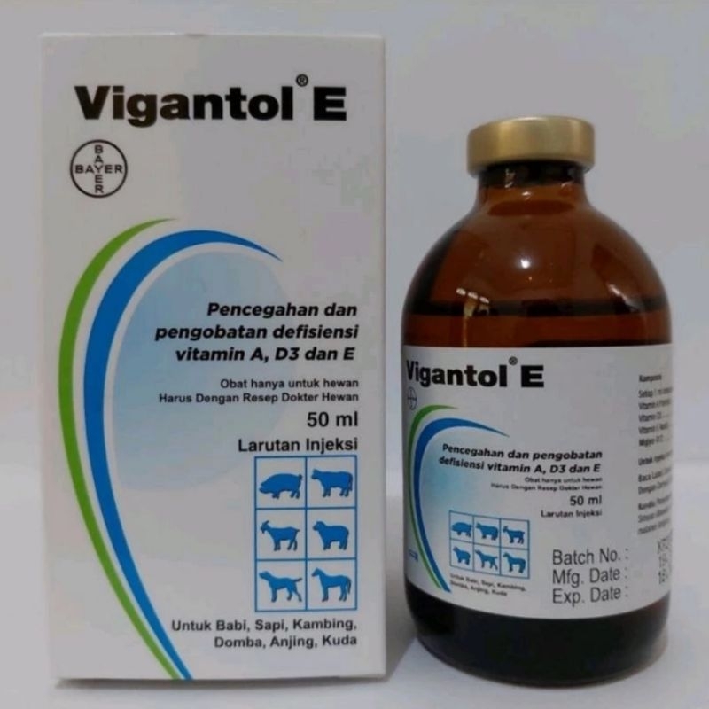 Jual VIGANTOL E 50 ml (Vitamin A, D3 dan E) | Shopee Indonesia