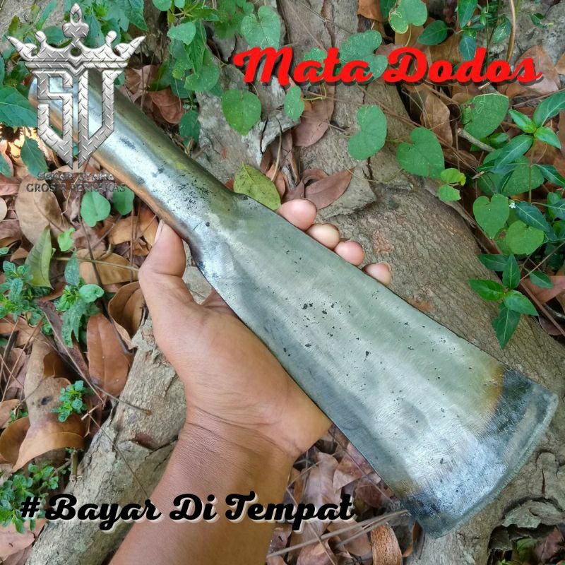 Jual DODOS SAWIT / DODOS TANAH / LEMPAK / MATA LINGGIS | Shopee Indonesia