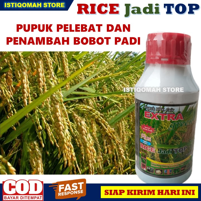 Jual Pupuk Pelebat dan Penambah Bobot Padi yang Bagus RICE JADI TOP 500ML Pupuk NPK Cair untuk ...
