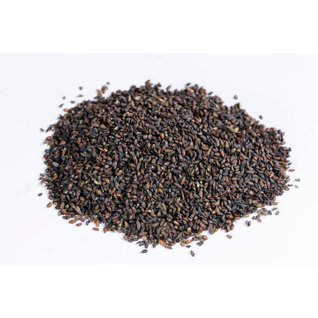 Jual Che qian zi / plantago seed / plantago asiatica (50gr) | Shopee ...