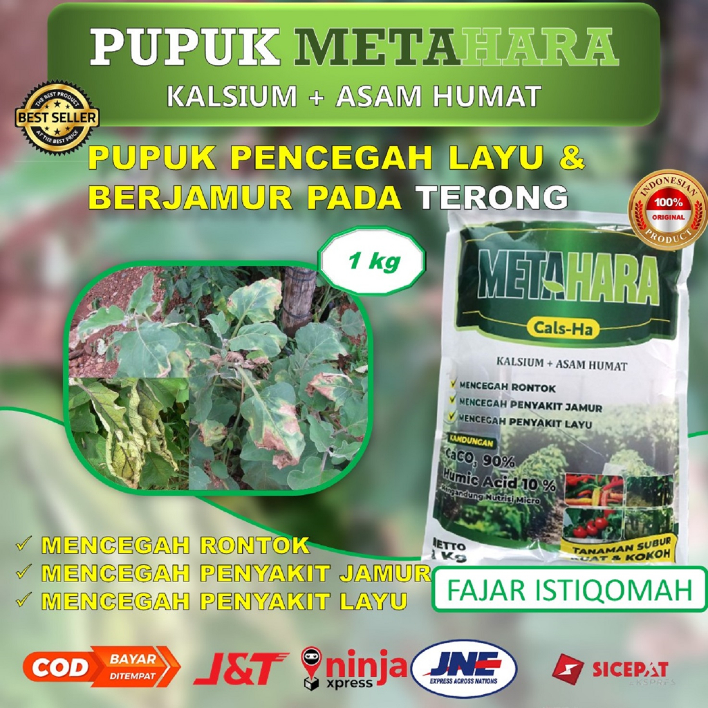 Jual pupuk terong METAHARA 1 KG, pupuk kalsium + asam humat, pupuk ...