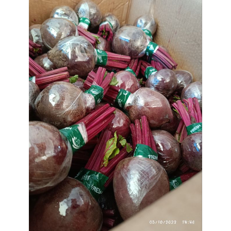 Jual Buah bit 1 Kg spek market | Shopee Indonesia