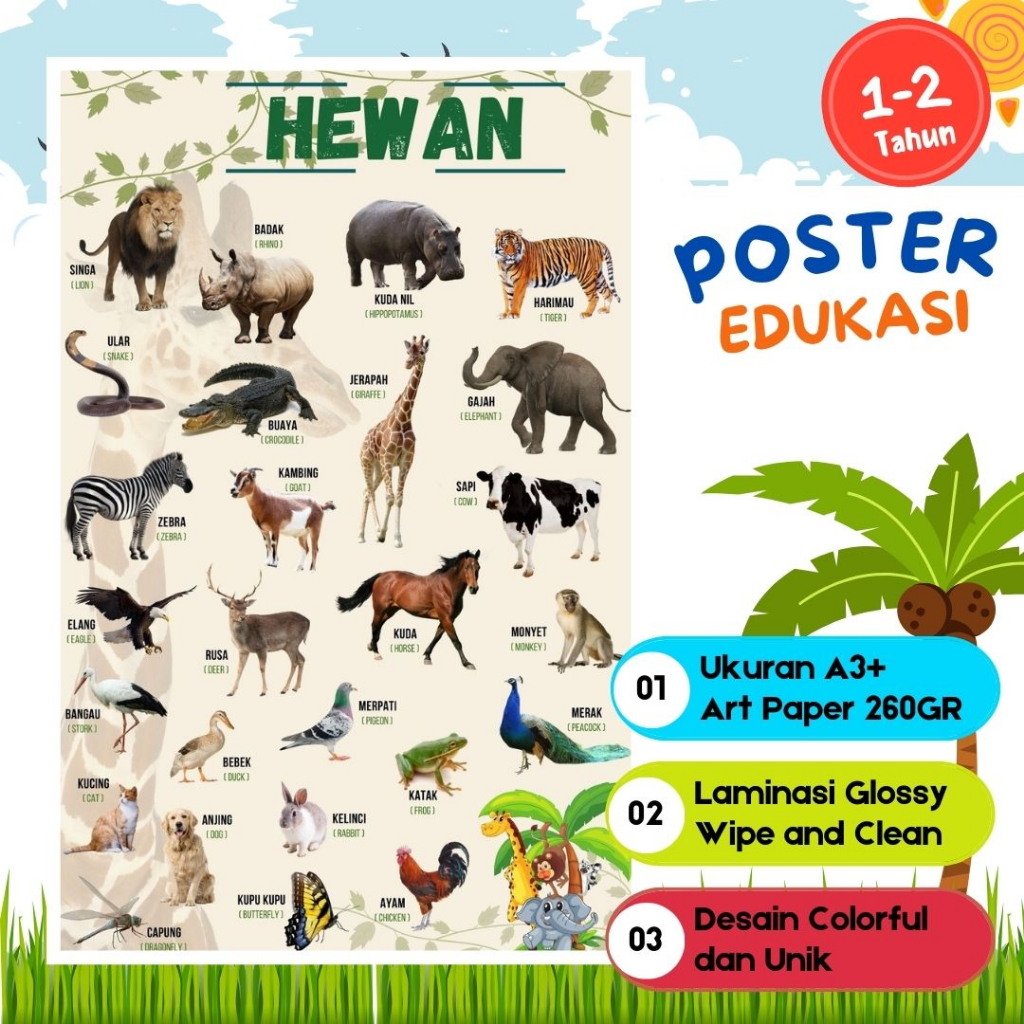 Jual WIPE CLEAN PREMIUM/ POSTER EDUKASI ANAK MURAH/ HEWAN ANGKA ...