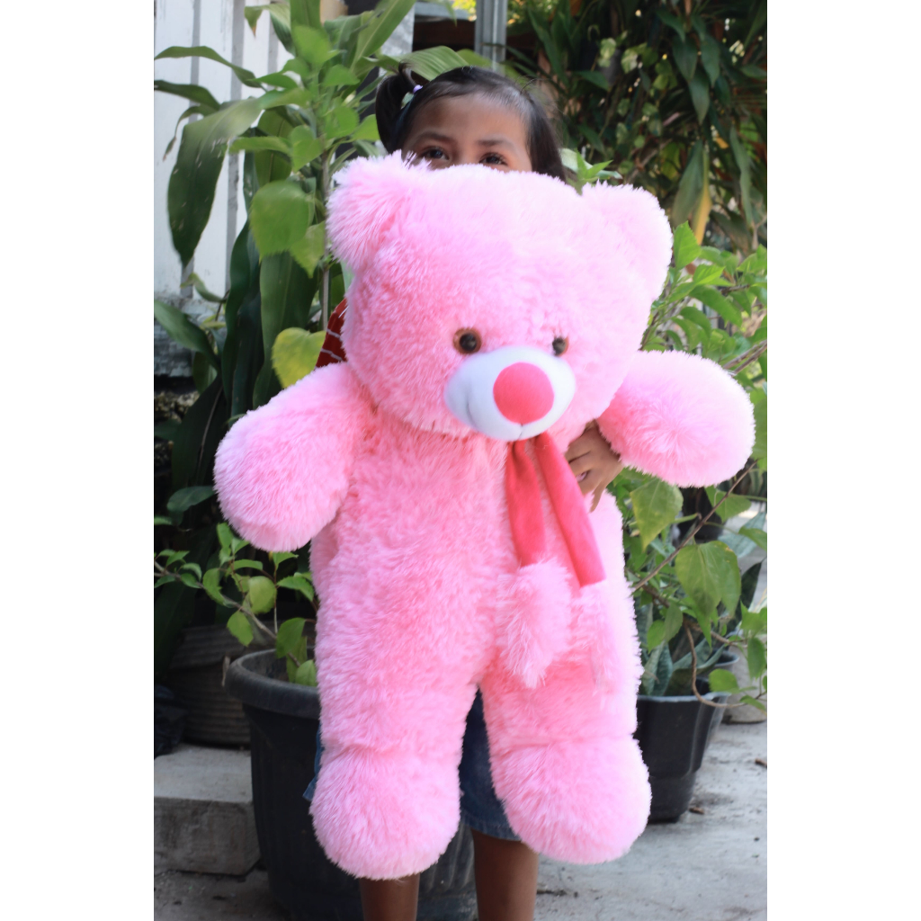 Jual Boneka Beruang XL Boneka Teddy bear 60Cm | Shopee Indonesia