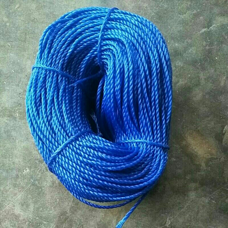 Jual Tali tambang tampar plastik untuk tali jaring tali pagar ayam ukuran 1 mm | Shopee Indonesia