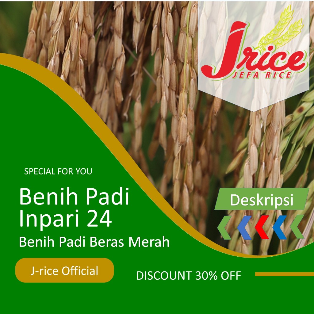 Jual BENIH PADI INPARI 24 BERAS MERAH LABEL PUTIH | Shopee Indonesia