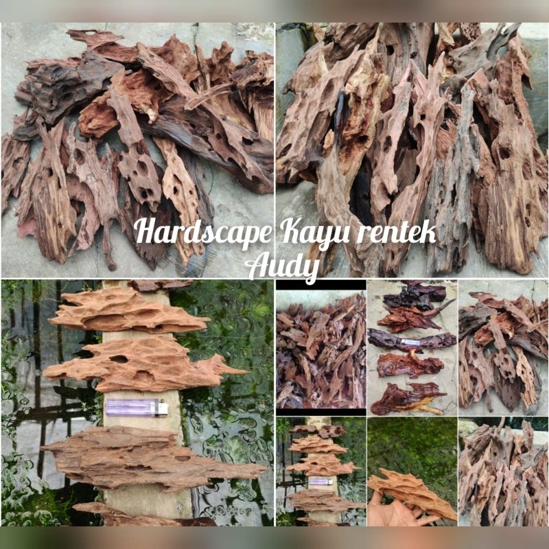 Jual kayu rentek Aquascape, reftil dan faludarium | Shopee Indonesia