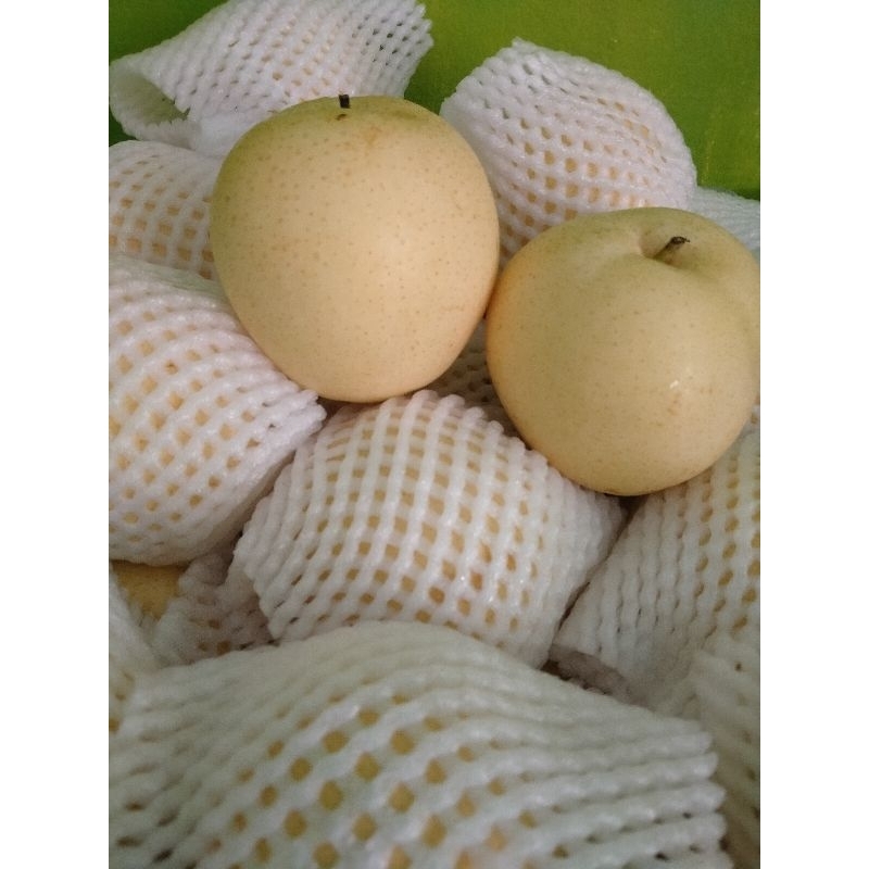 Jual buah pir madu per 1 kg | Shopee Indonesia