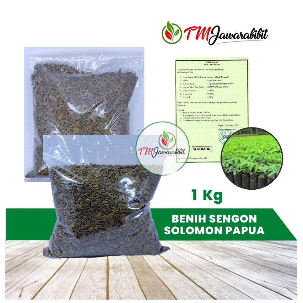 Jual BENIH SENGON SOLOMON PAPUA ISI 1 KG BERSERTIFIKAT ASAL USUL BENIH ...