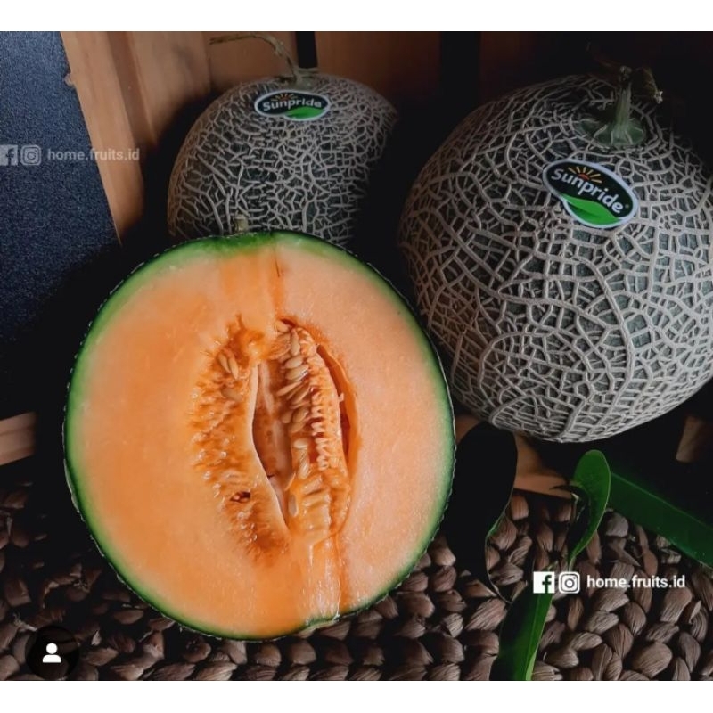 Jual Rock melon 1 butir | Shopee Indonesia
