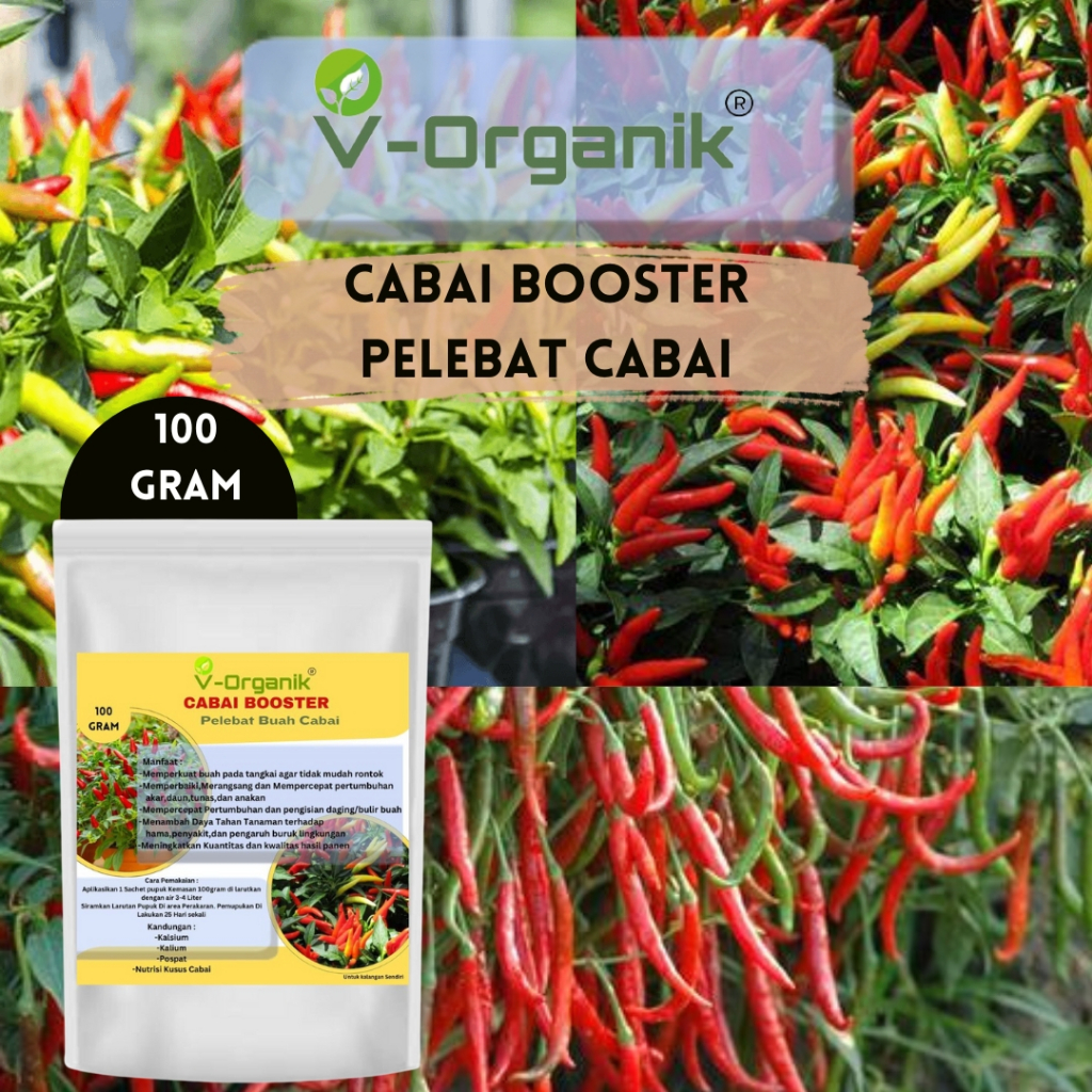 Jual Pupuk Pelebat Cabai Pupuk Booster Cabai | Shopee Indonesia