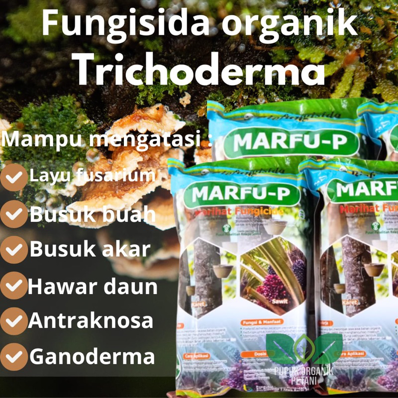 Jual Bio fungisida organik tanaman Tricoderma Harzianum 1 Kg Bio Fungisida Hayati Pupuk Organik ...