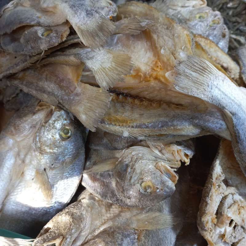 Jual IKAN ASIN SAMGE ( 100gr ) | Shopee Indonesia