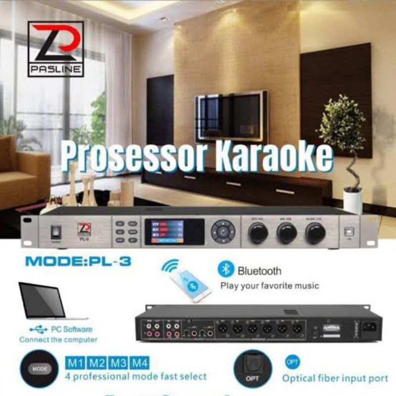 Jual PROSESSOR KARAOKE PASLINE PL3 5.1 ORIGINAL PL 3 | Shopee Indonesia