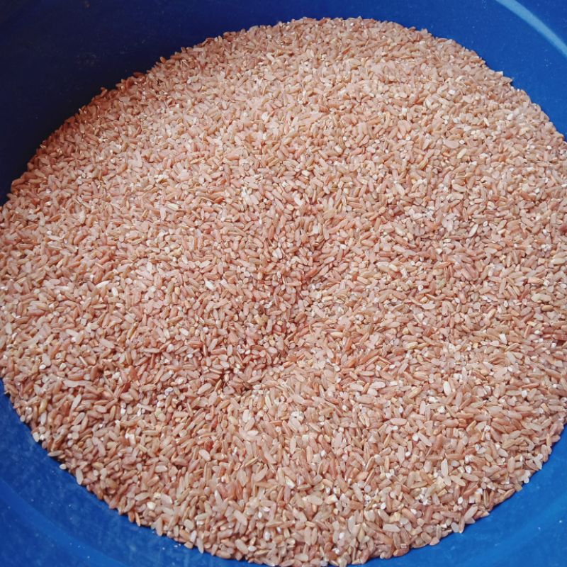 Jual Beras Merah Beras Padi Hutan Asli tumbuk 1 Kg | Shopee Indonesia
