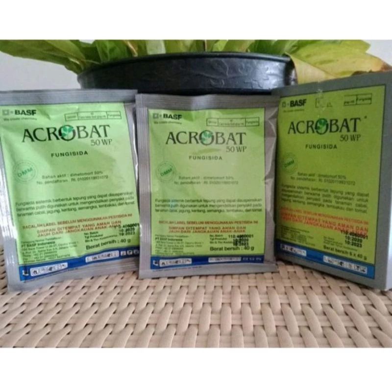 Jual acrobat 50wp-40gr | Shopee Indonesia