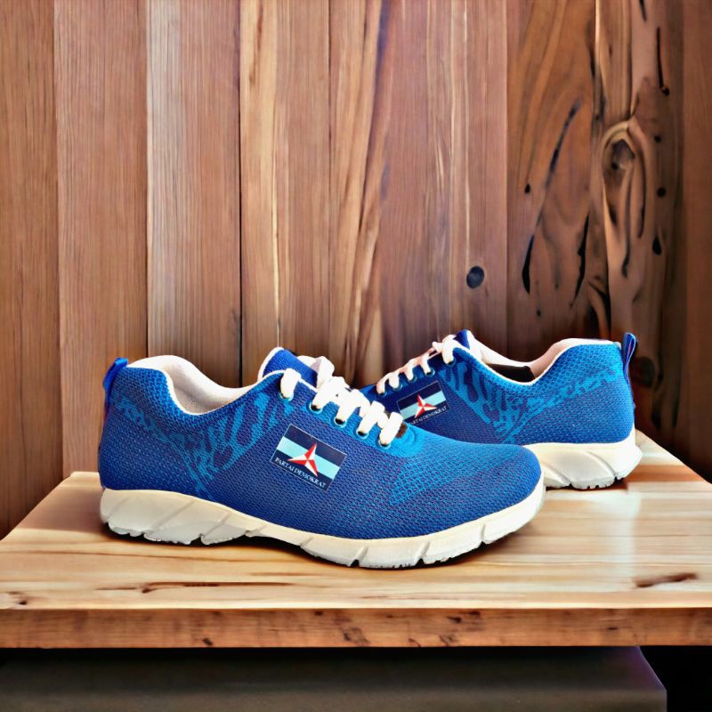 Jual sepatu custom partai Demokrat dll | Shopee Indonesia
