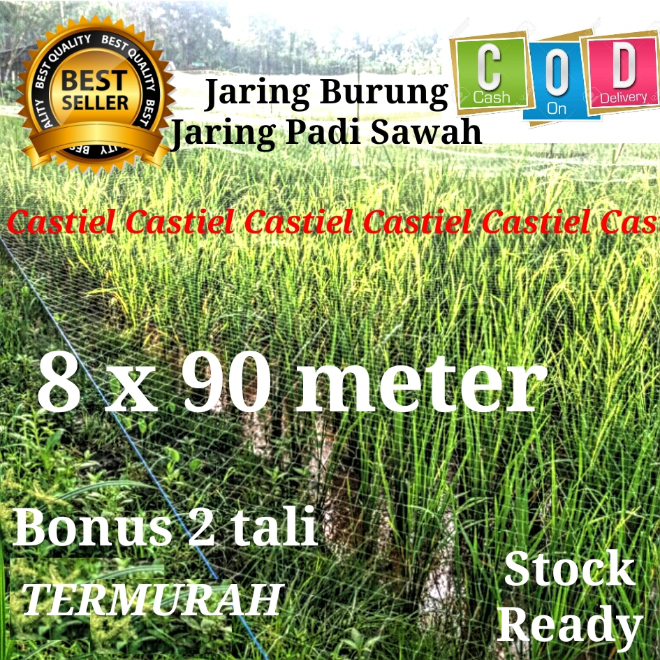 Jual Jaring Burung jaring padi jaring Penutup Sawah bonus 2 tali ...
