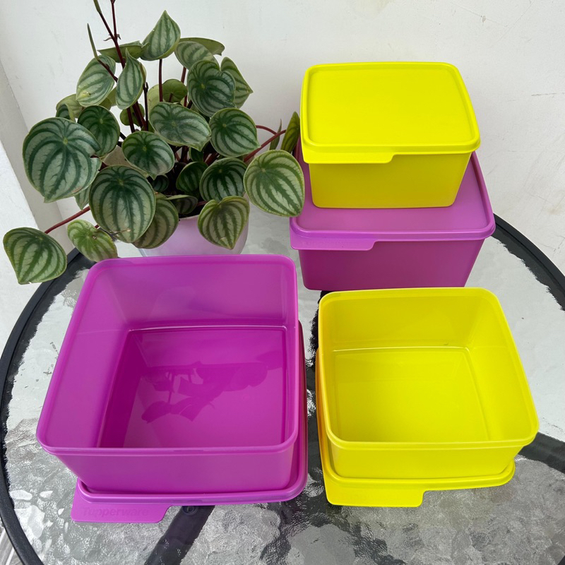 Jual Cozy nest tupperware (kotak penyimpanan tupperware) | Shopee Indonesia
