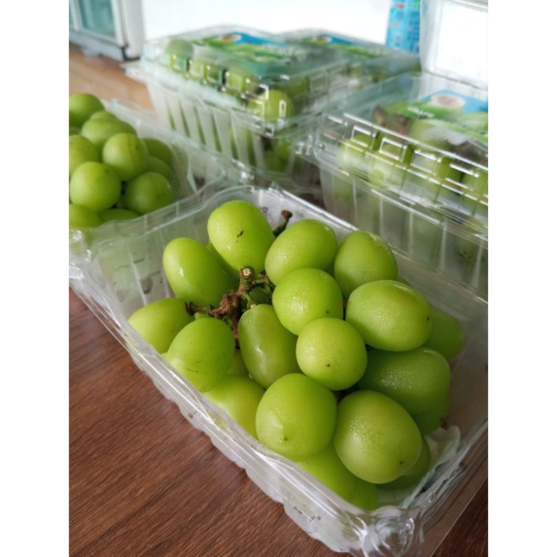 Jual Anggur Hijau Shine Muscat Jepang FRESH // Anggur non biji (500gram ...