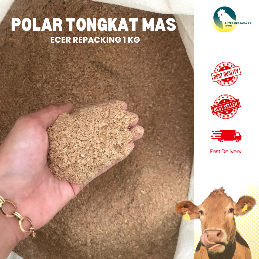 Jual POLAR GANDUM TONGKAT EMAS Repacking 1 kg - Pollard Gandum Original ...