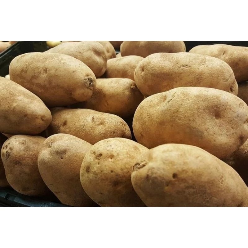 Jual Kentang 1kg 1000gr | Shopee Indonesia